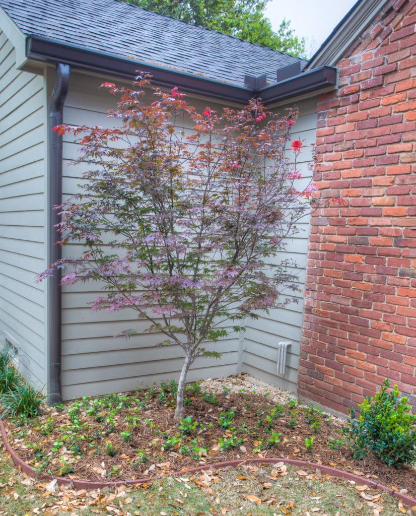 Landscape Design | Landscaping Pros - Clients First Landscape Solutions