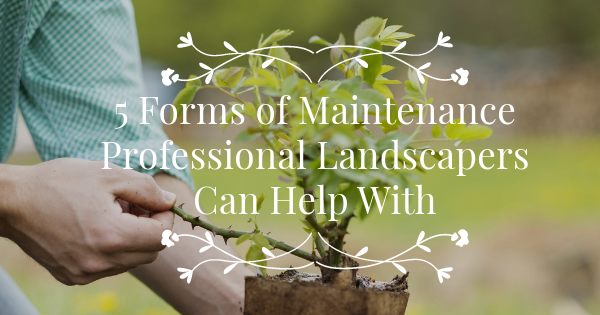 5 Forms of Maintenance Professional Landscapers Can Help With - Clients ...